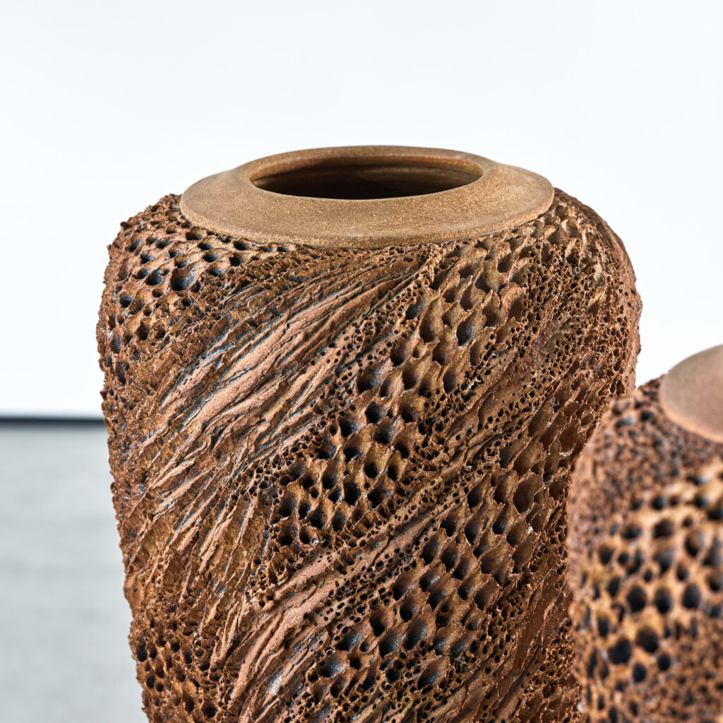 Pair of Vessels (Coastal Rock and Canyon Wall) - Moderne Gallery